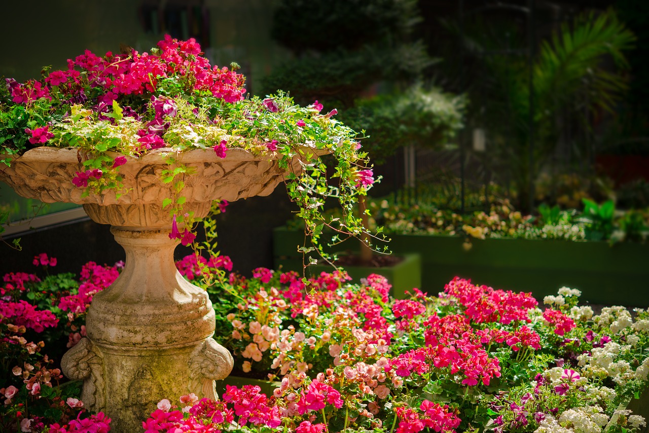 The Best Climbing Plants for Kenyan Gardens: A Landscaping Expert’s ...