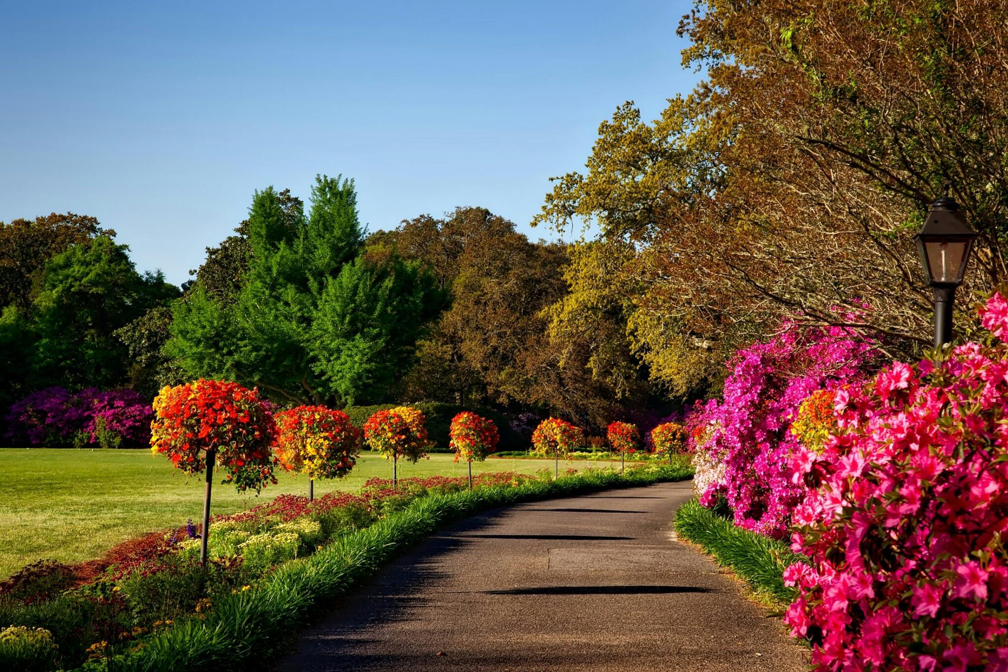 How to Prepare Your Kenyan Garden for the Dry Season - The Best ...