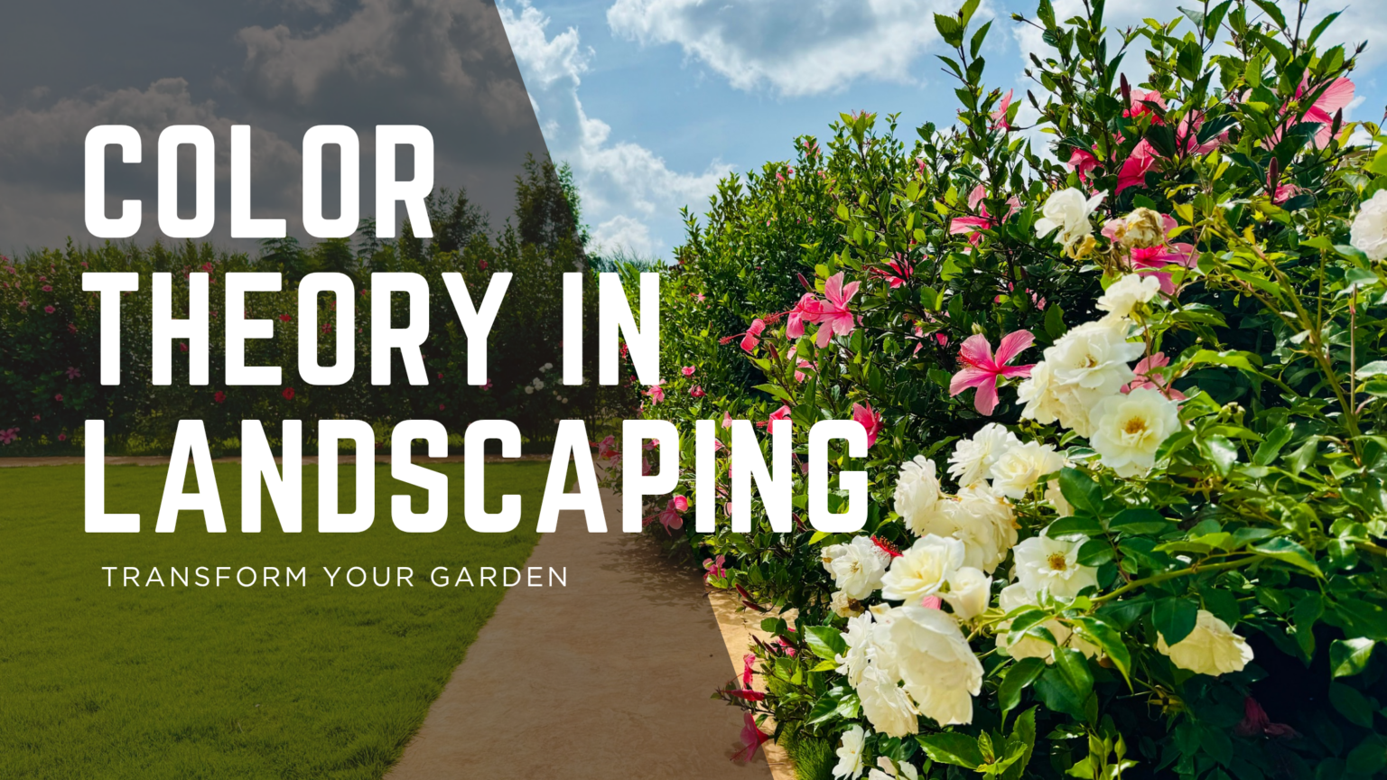 How to Use Color Theory in Landscaping to Transform Your Kenyan Garden ...
