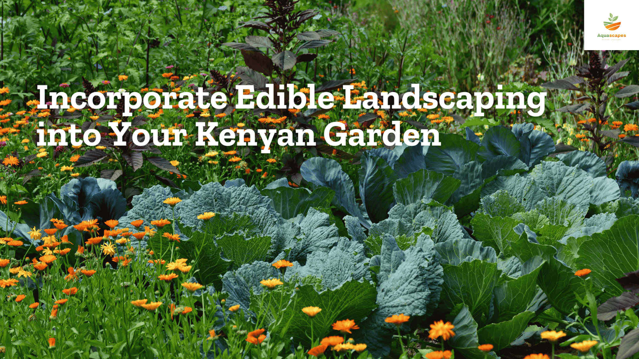 How to Incorporate Edible Landscaping into Your Kenyan Garden - The ...